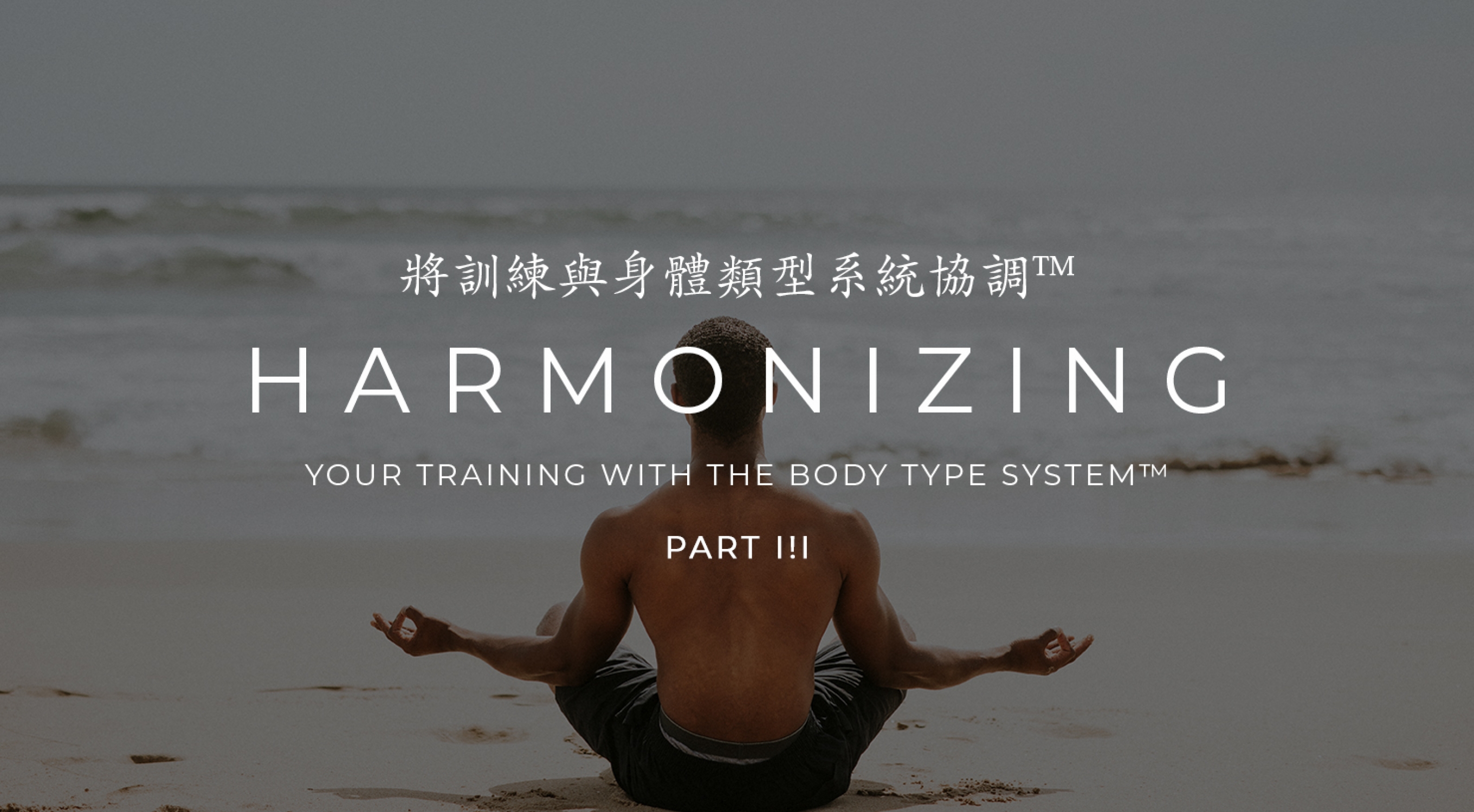 Harmonizing Your Training with the Body Type System™ Part 3 - OHO Seminars