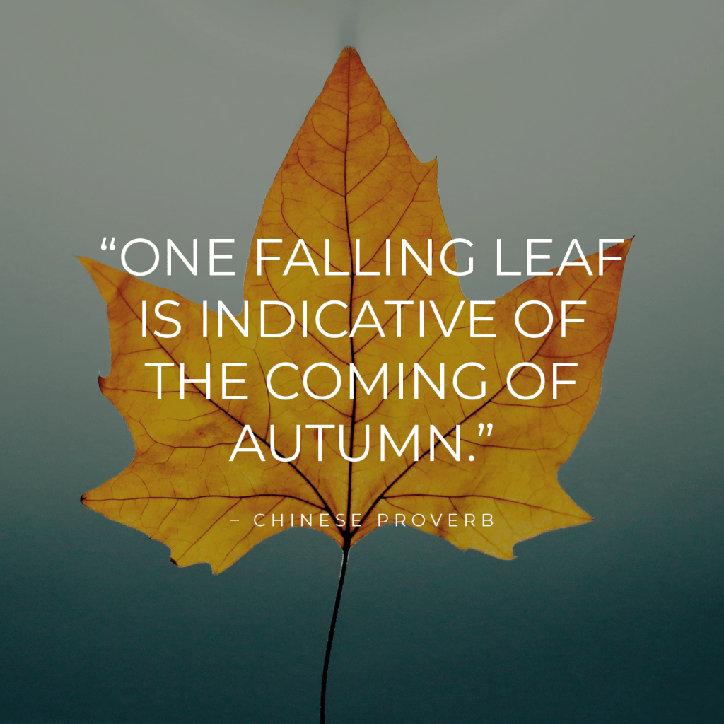 Chù Shǔ: Limit of Heat - OHO Seminars